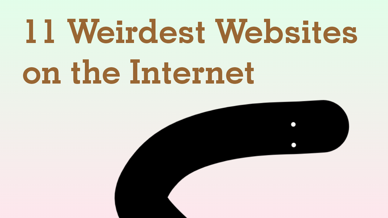 11 Weirdest Websites on the Internet » MSB GRAFIX