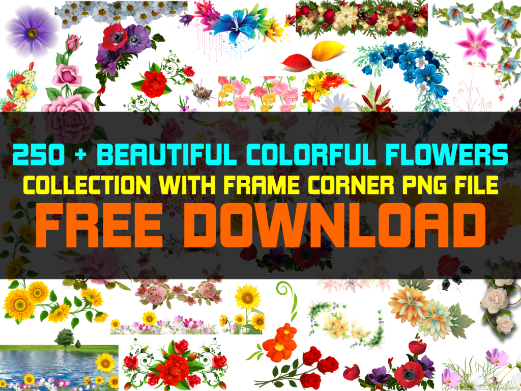 Collection with Frame Corner PNG File Free Download - MSB Grafix